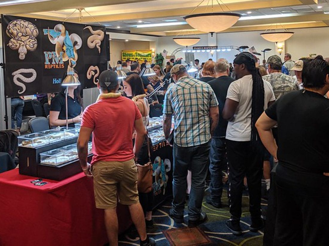 One-day ‘Repticon’ comes to Fort Myers - Cape Coral Breeze